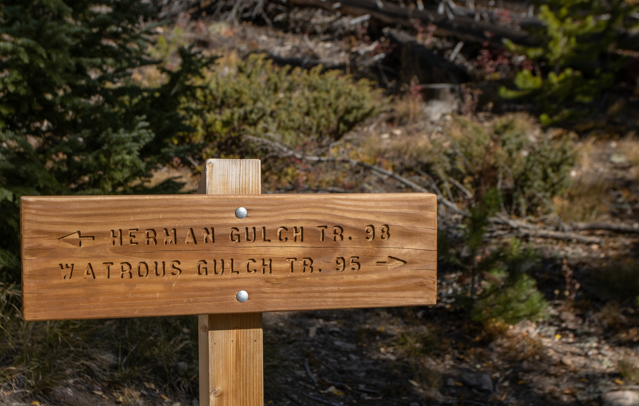 Herman Gulch Trail . Herman Lake - James Van Dellen
